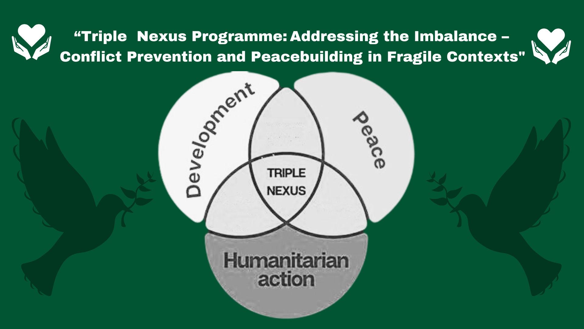 Evaluation of Triple Nexus Programme for Sustainable Development ...